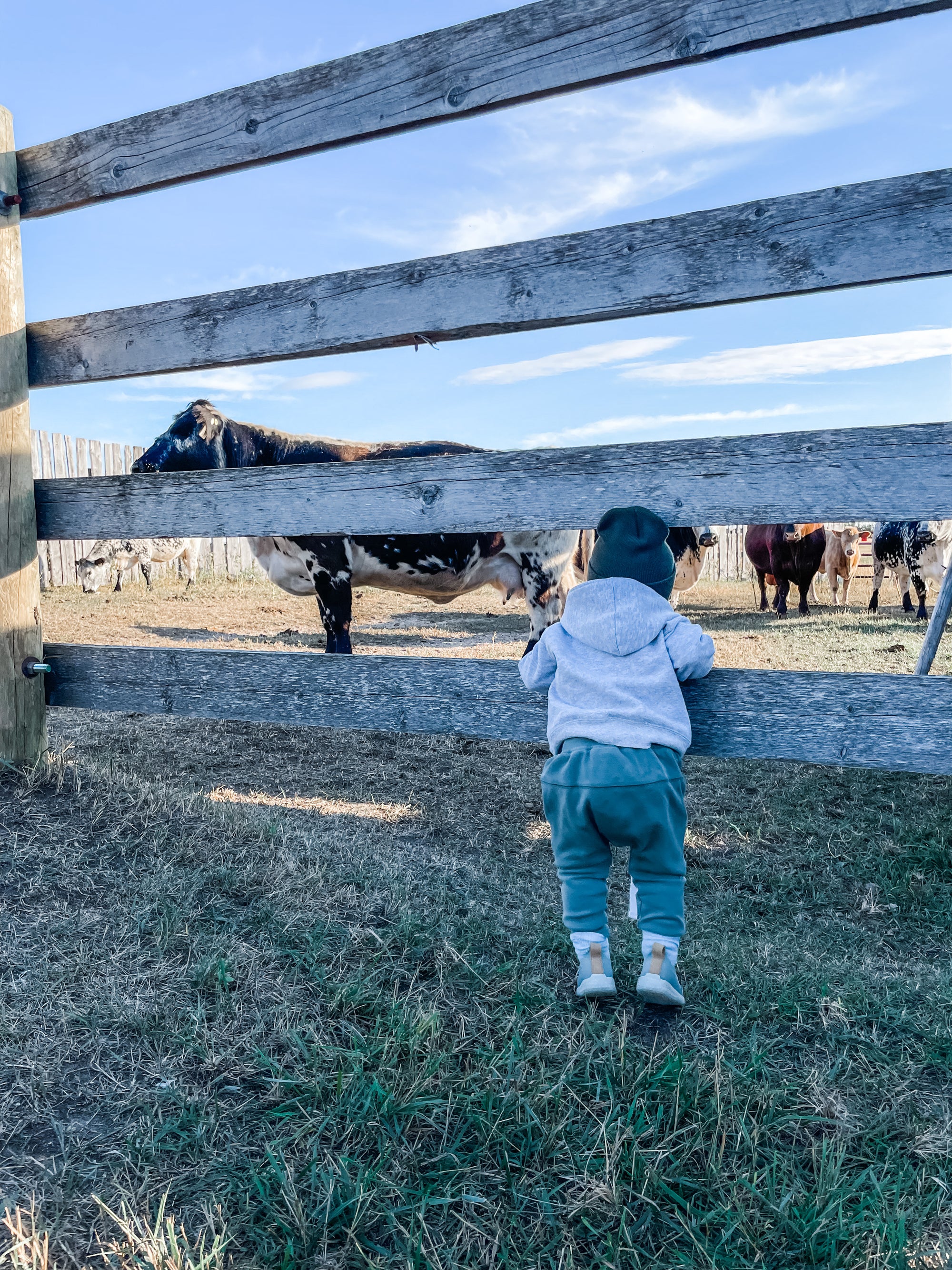 Photo Collection – West of 3rd Ranch