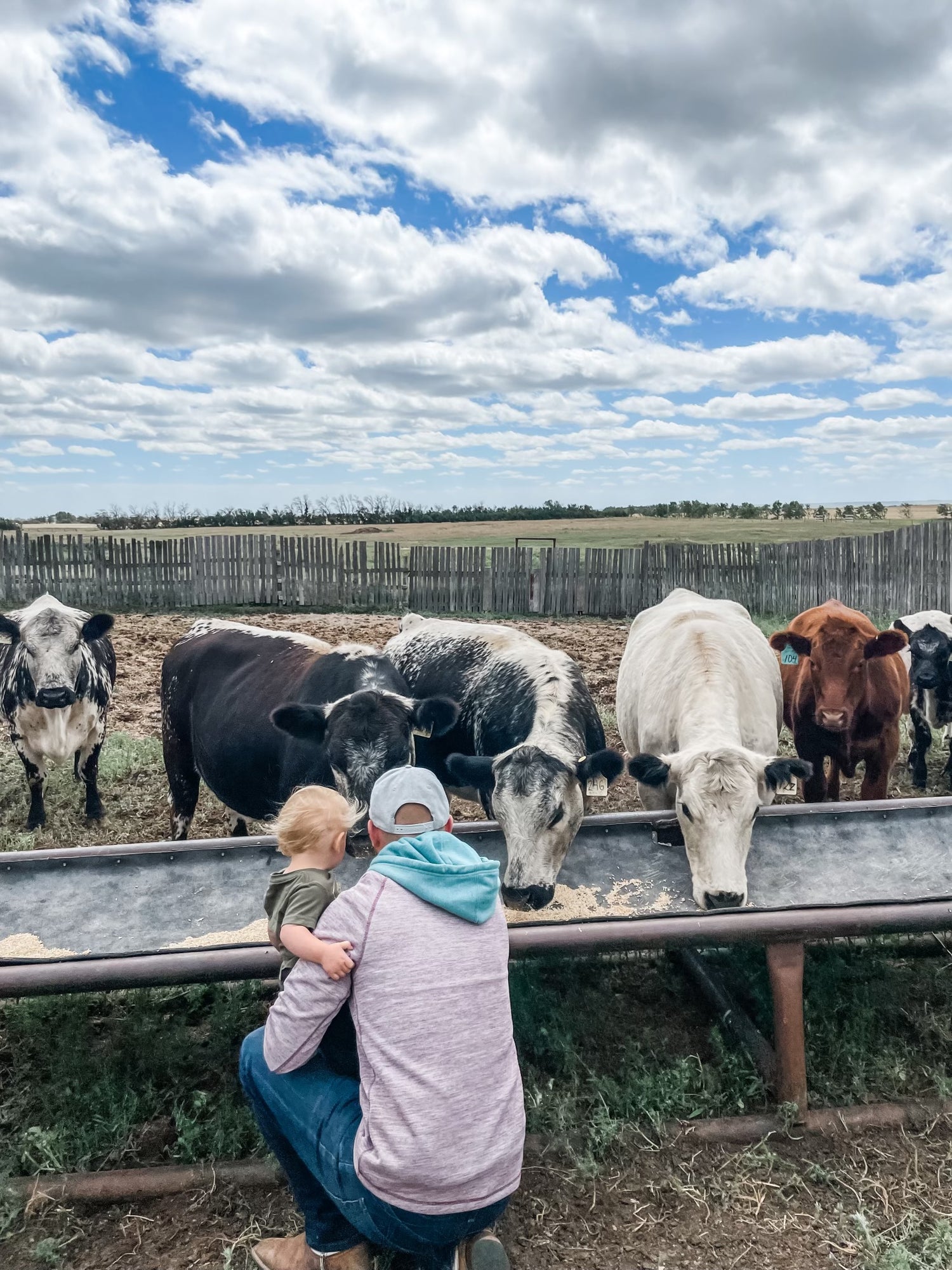 Photo Collection – West of 3rd Ranch